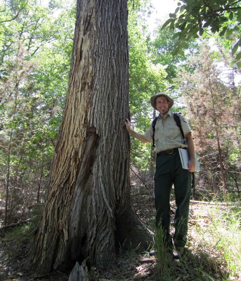Replenishing Houston's canopy, one tree at a time