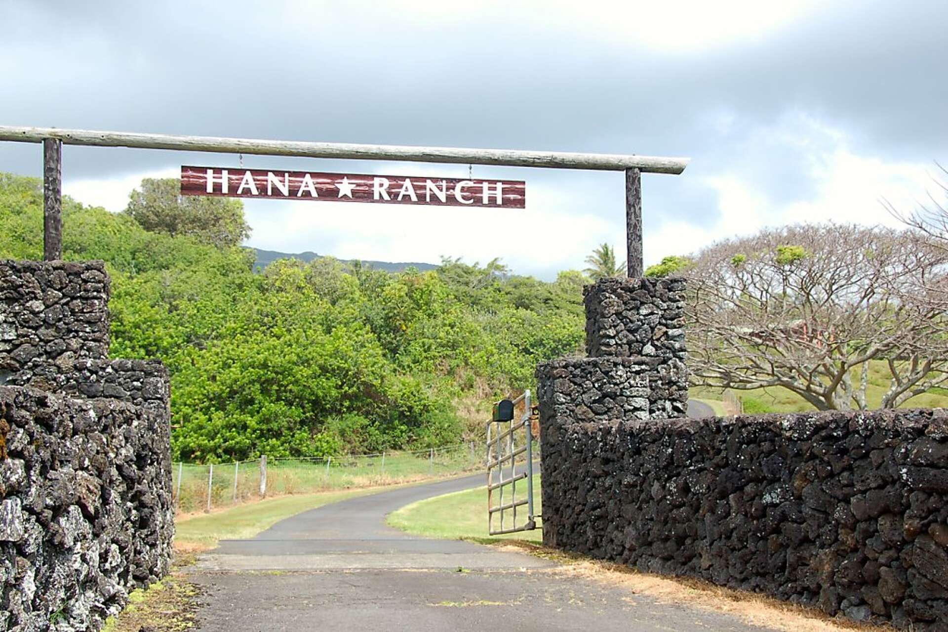 Bay Area soars in aloha spirit