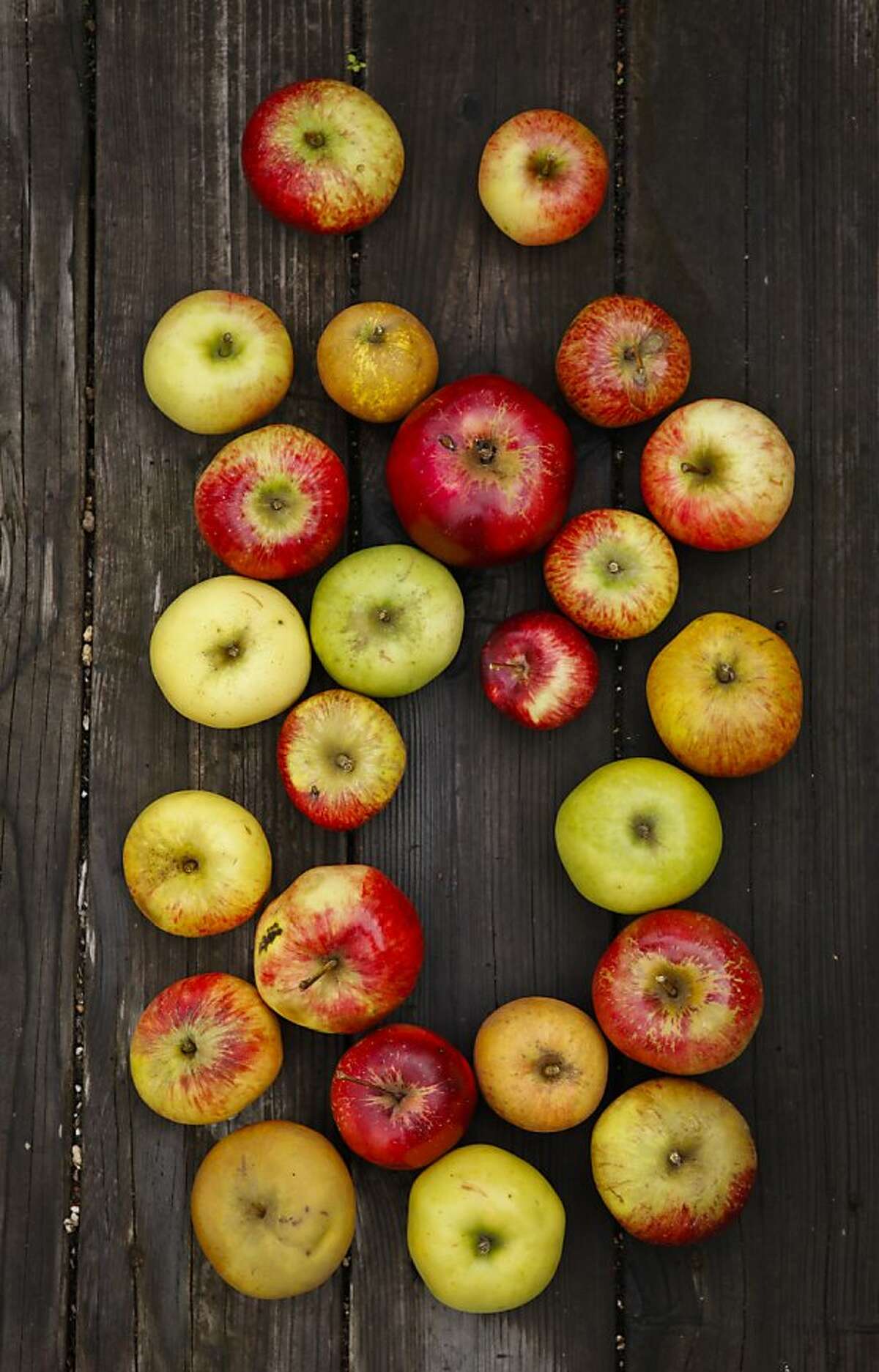 Five Places for all things apple