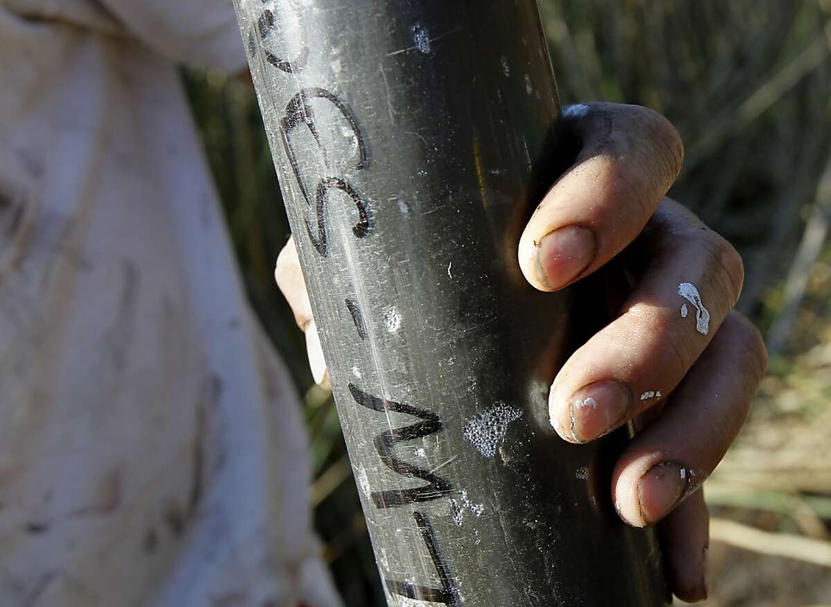 Mountain Lake samples being extracted