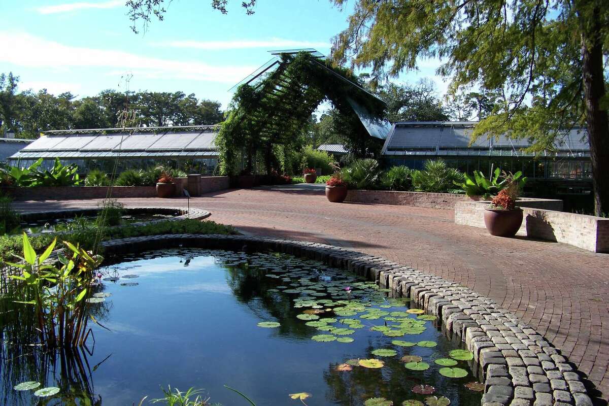 38 things to do this week