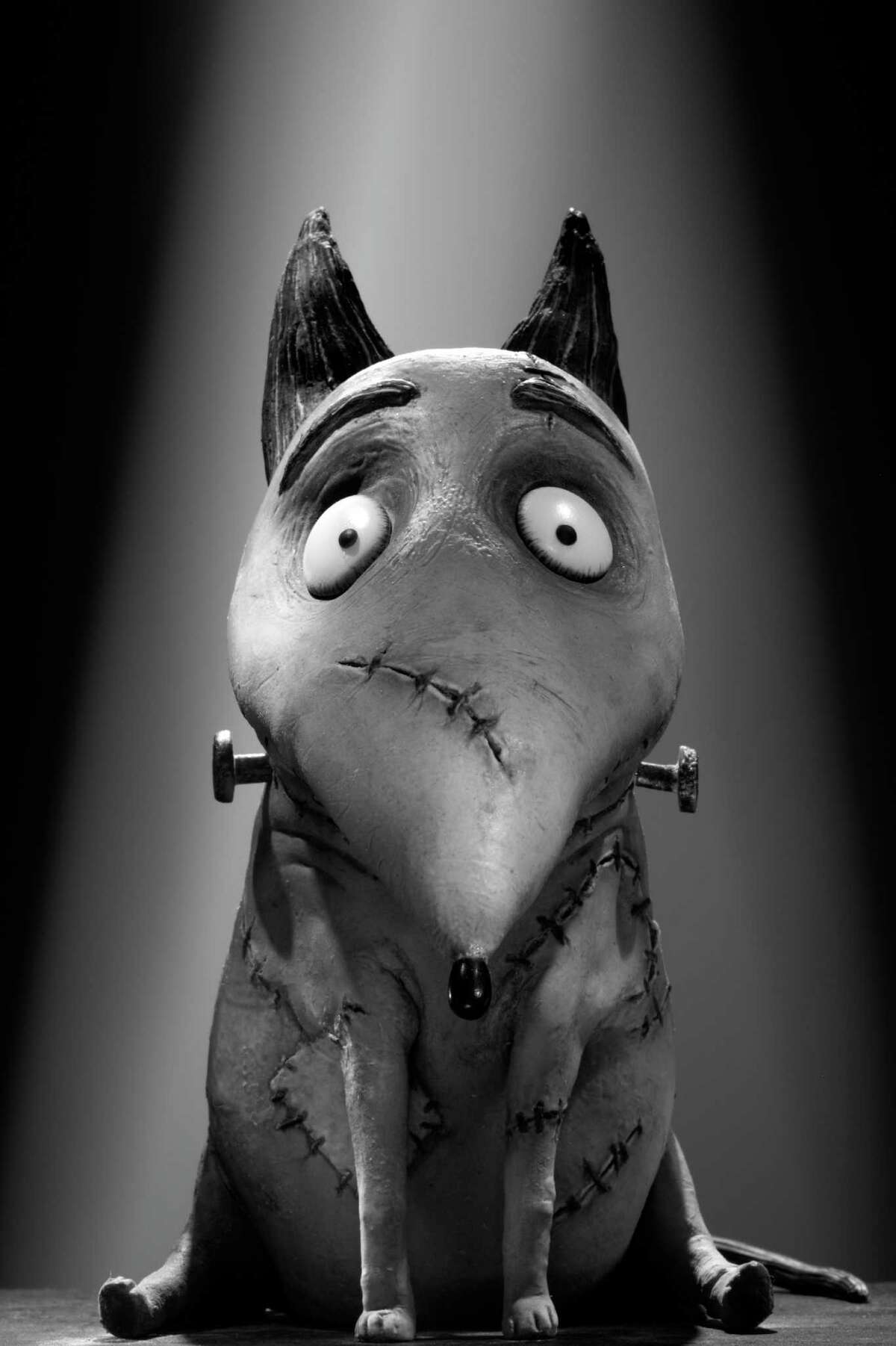 'Frankenweenie': A boy and his dog - and some weird science
