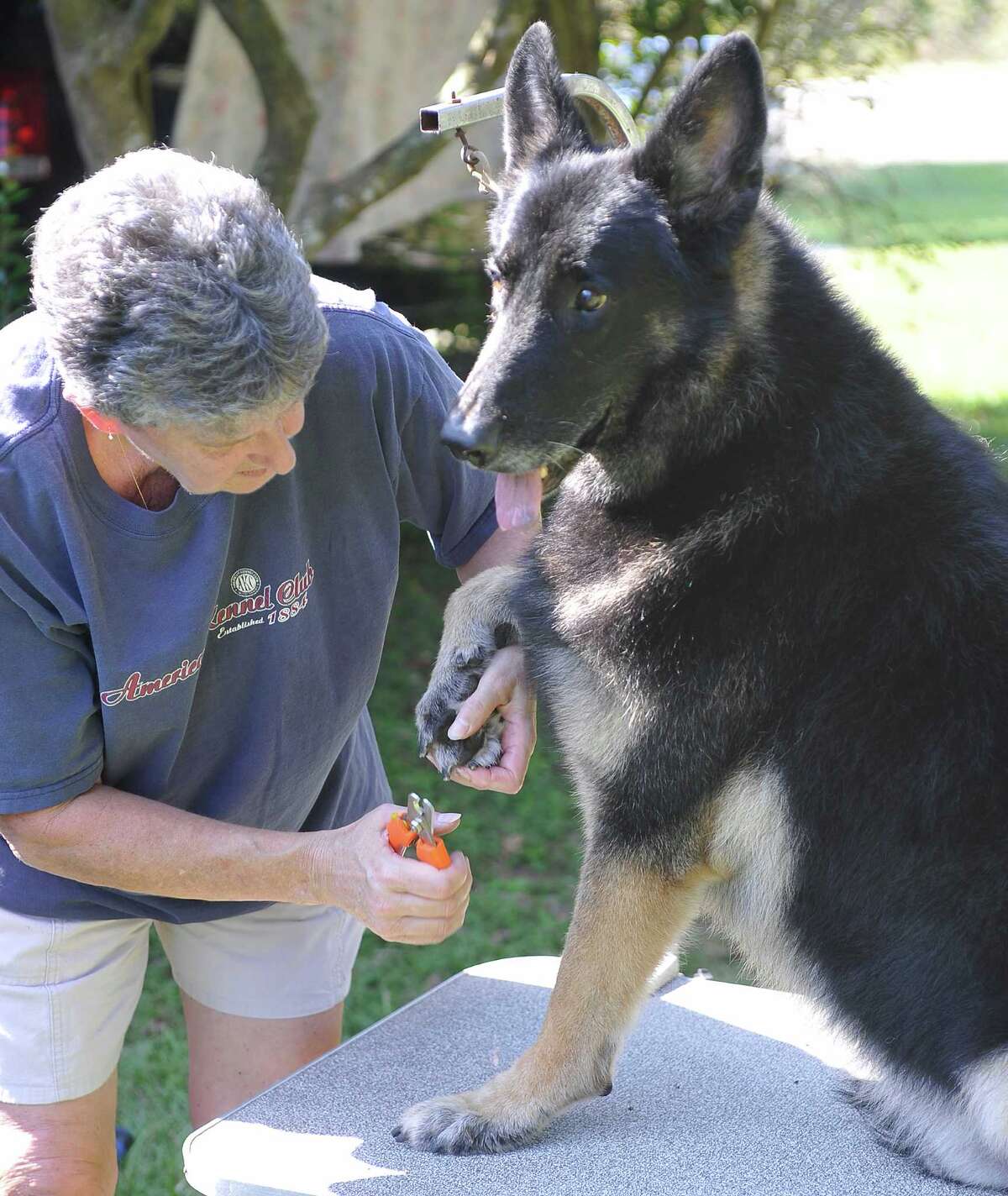 German Shepherd credited with saving Kountze woman