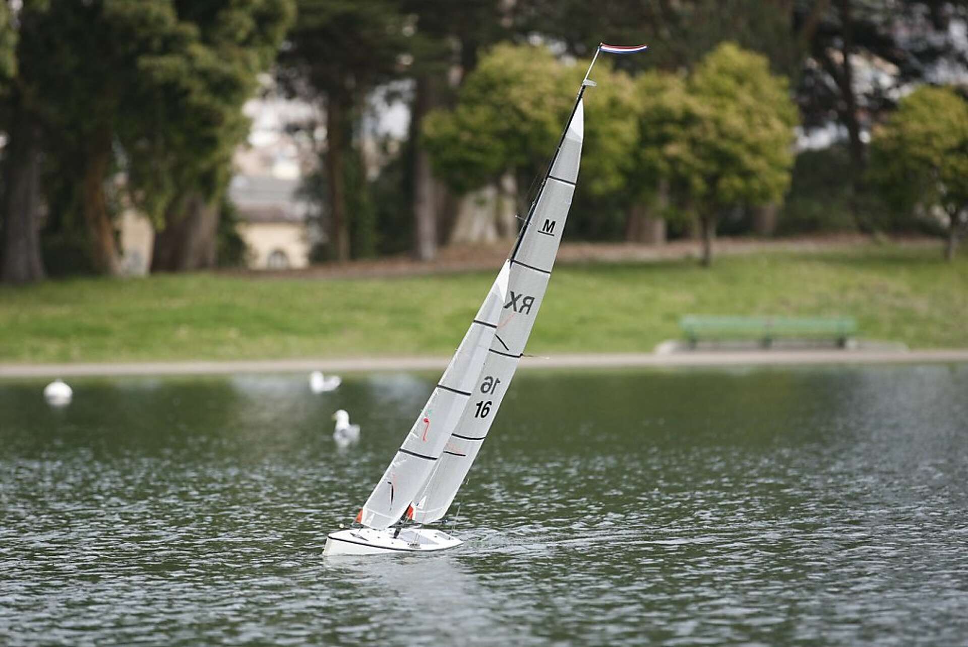 Mini-yachts race on Spreckels Lake