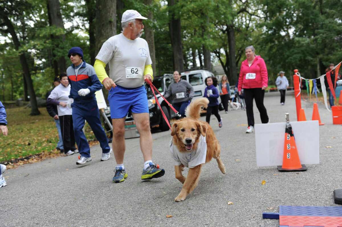 'Fitness guru' remembered at memorial road race