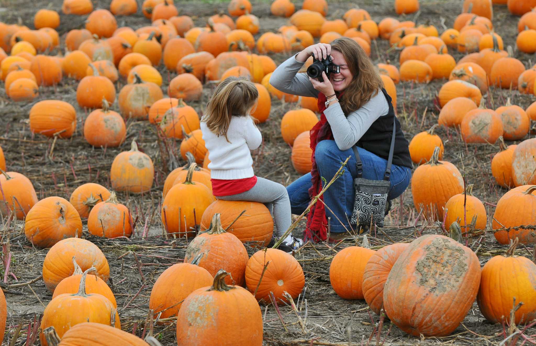 Photos: The Capital Region enjoys Apple Festival