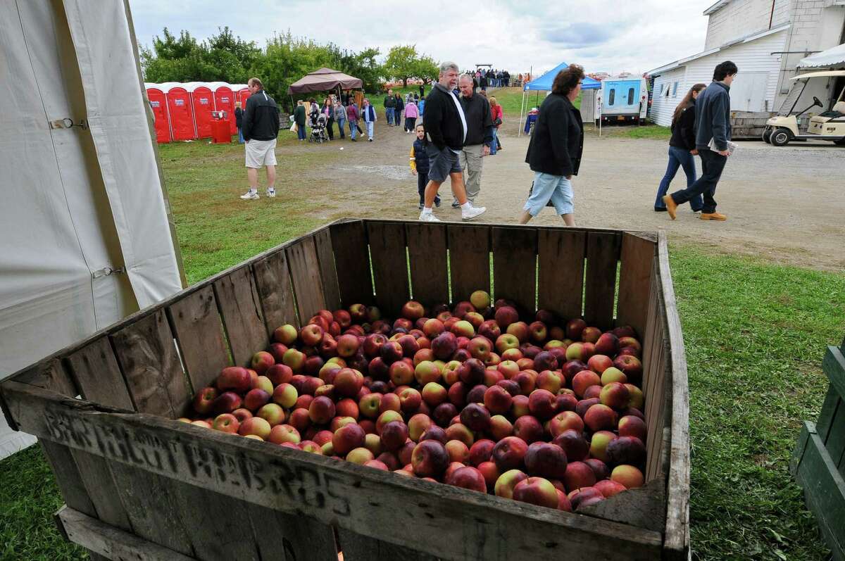 Photos: The Capital Region enjoys Apple Festival