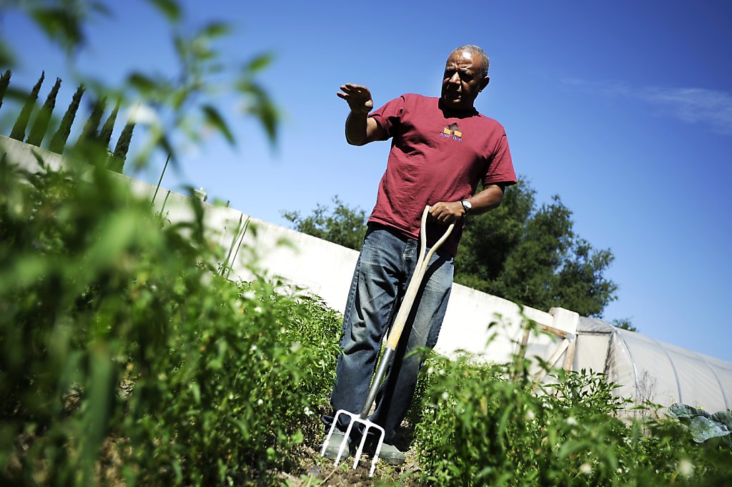 Ethiopian crops satisfy hunger for home