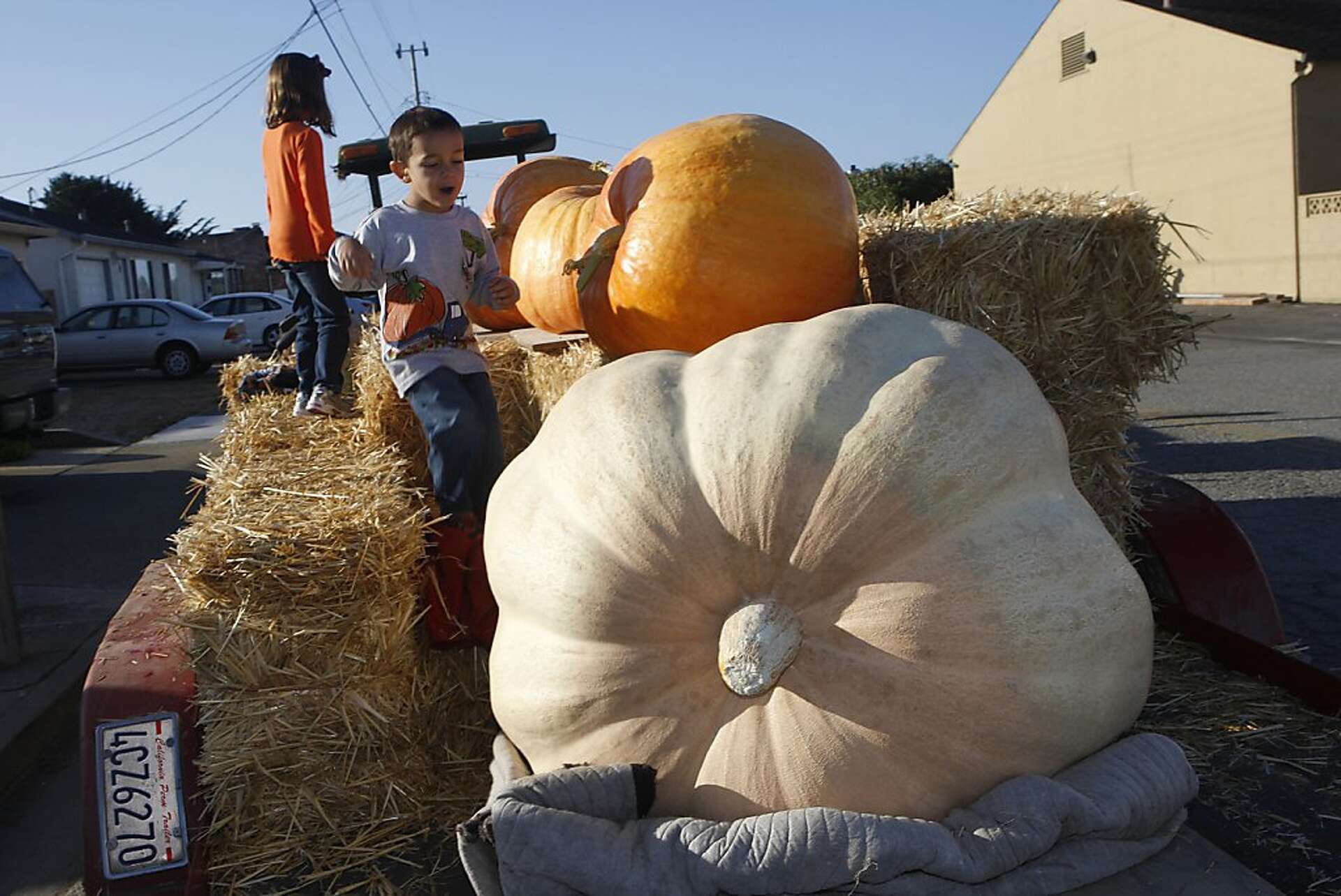 Half Moon Bay pumpkin winner: Thad Starr