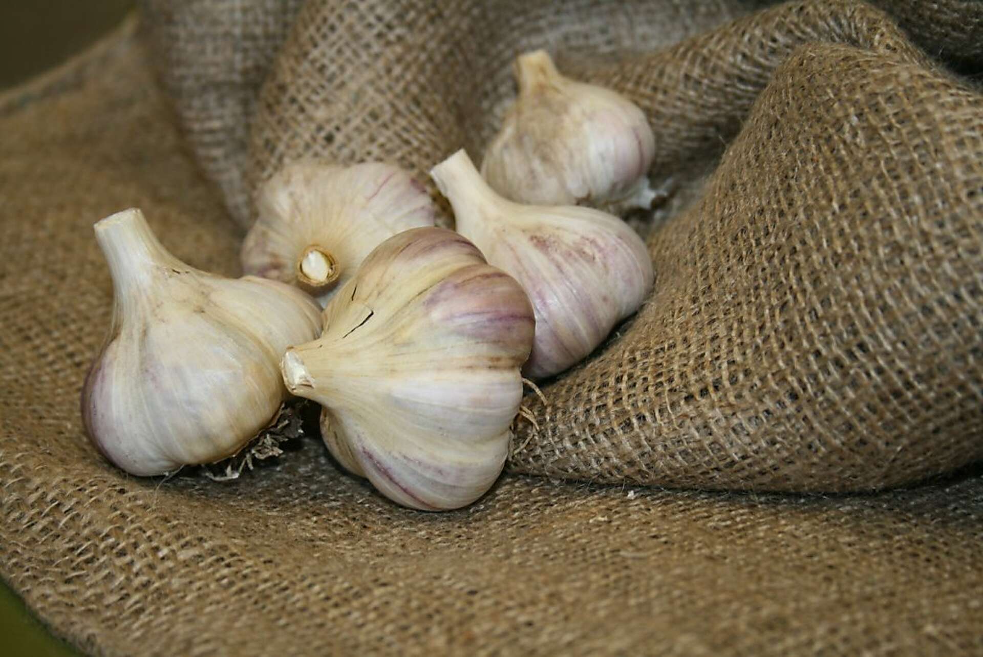 Autumn is the best time to plant garlic