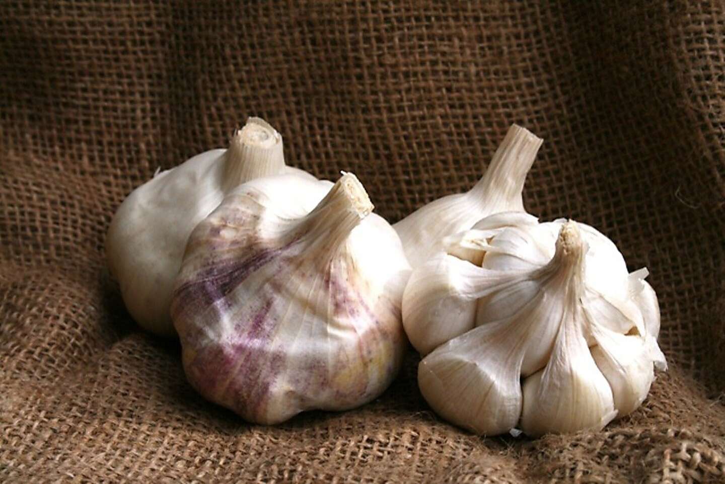 Autumn is the best time to plant garlic