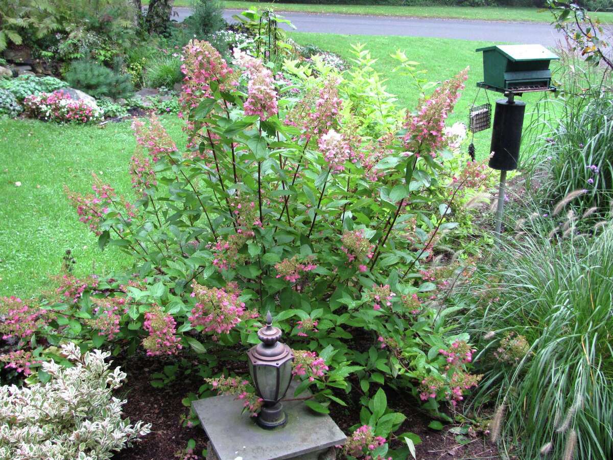 Amazing color in the autumn garden