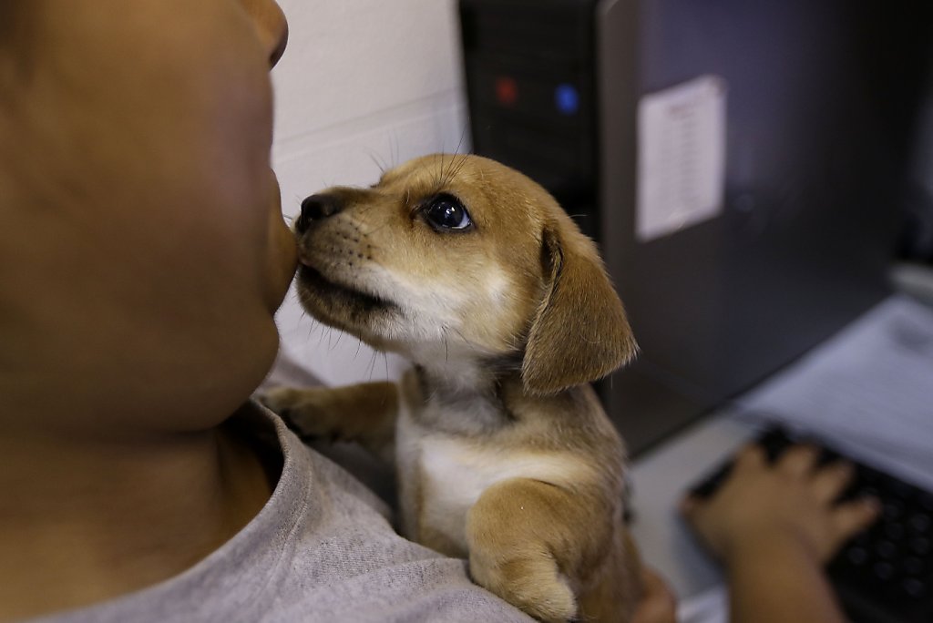 Day in Pictures, Oct. 11, 2012