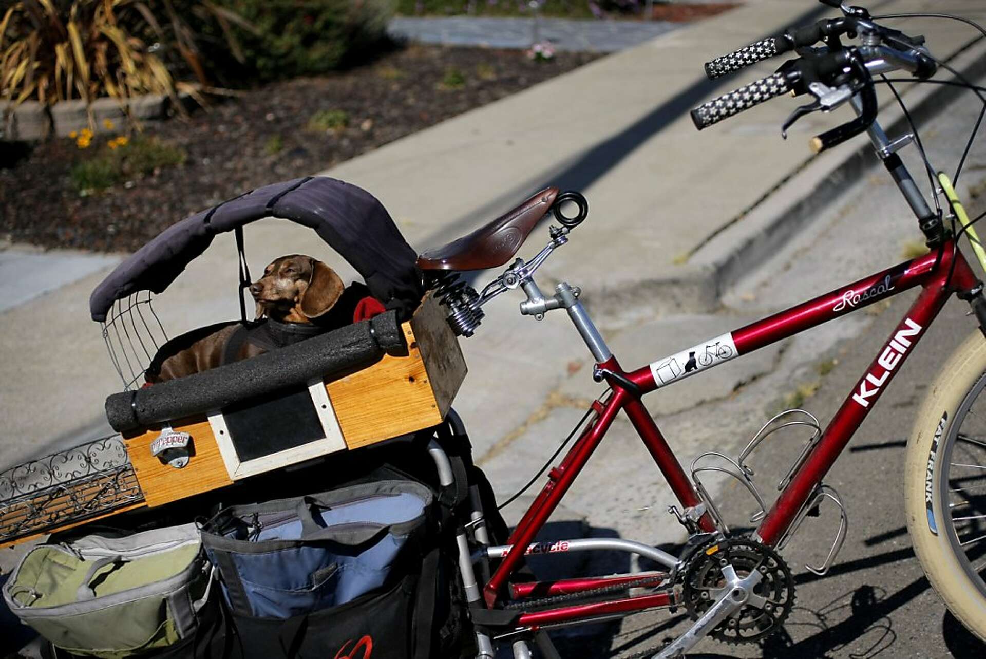 Cargo bikes carry larger loads