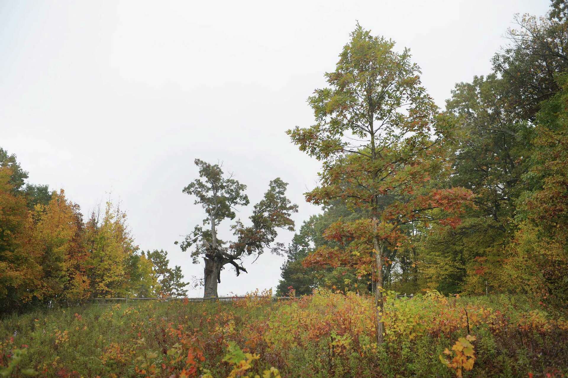 In year two, Schoharie County Arts Trail Driveabout now a full weekend