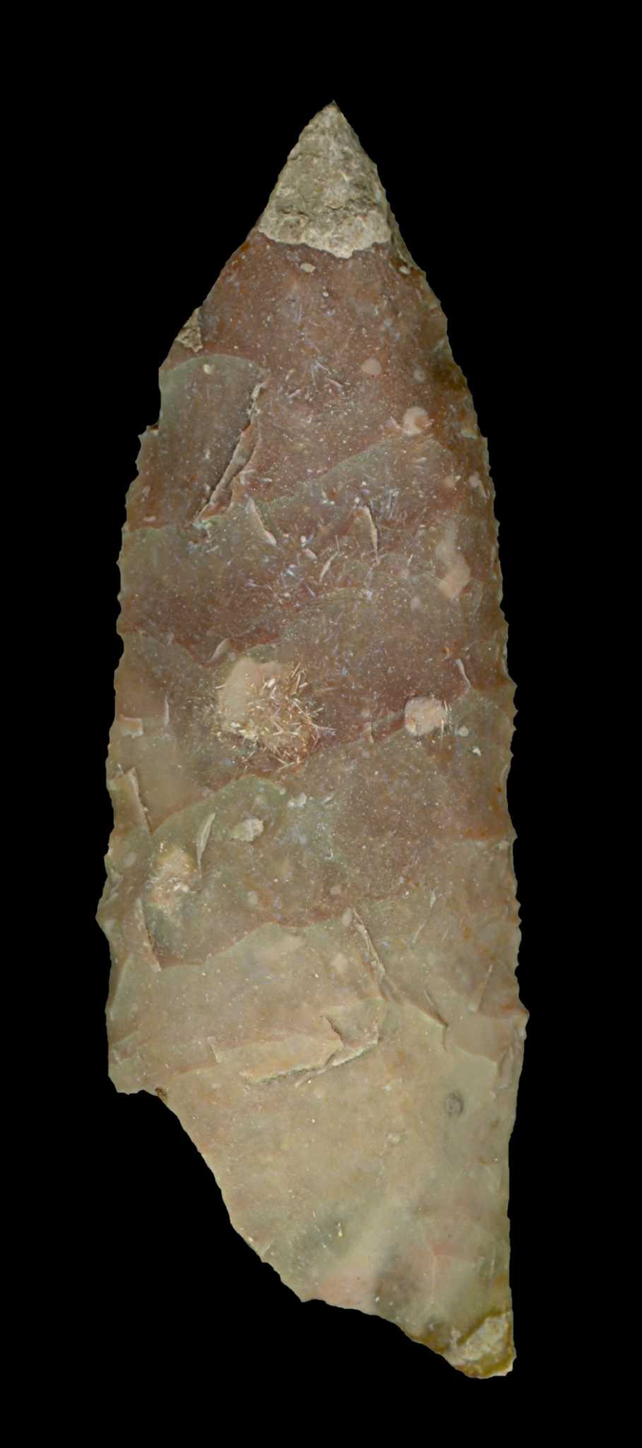 Experts ready to dig in and identify old relics