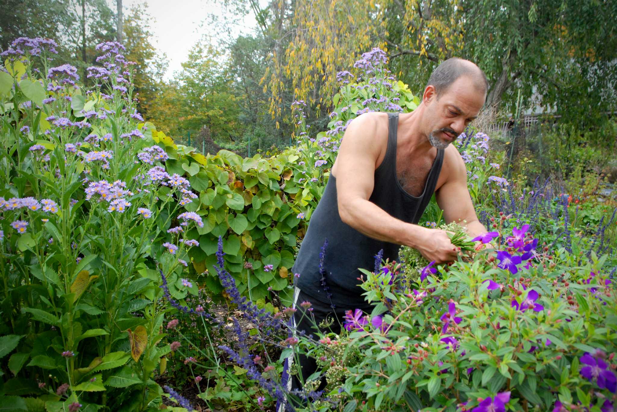 The Dart: A flower junkie blooms in Westover