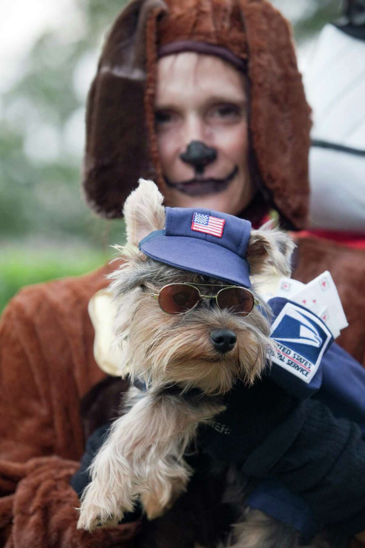Halloween is going to the dogs