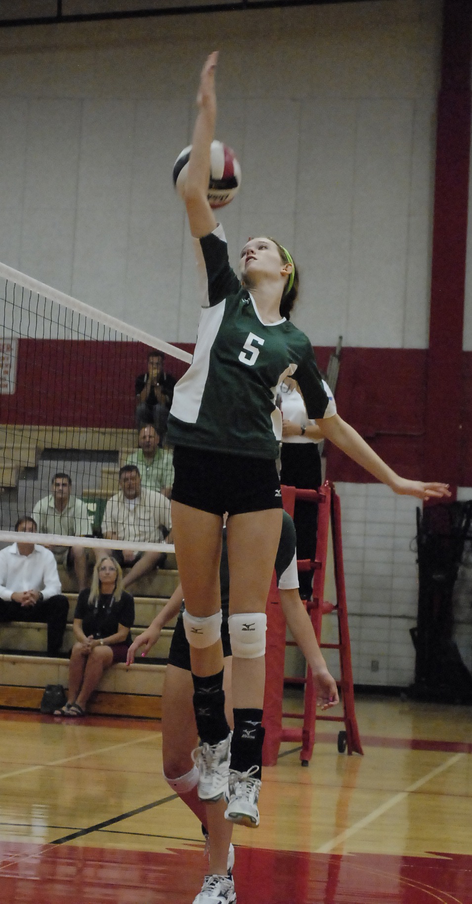 Volleyball: Veteran coach Palermo has young Stratford in playoff form