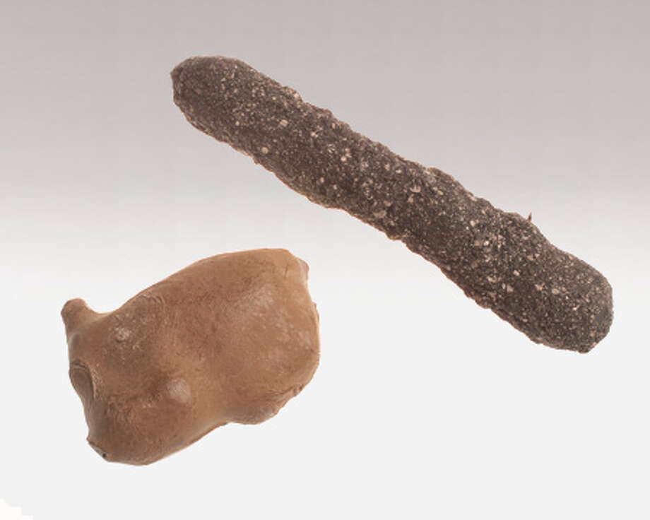 'Skyhook' and other CIA spyware - seattlepi.com