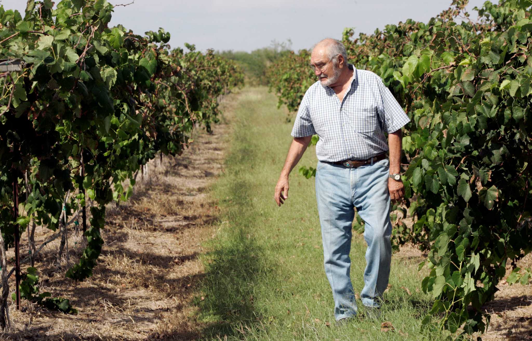 Texas' own wine Valley