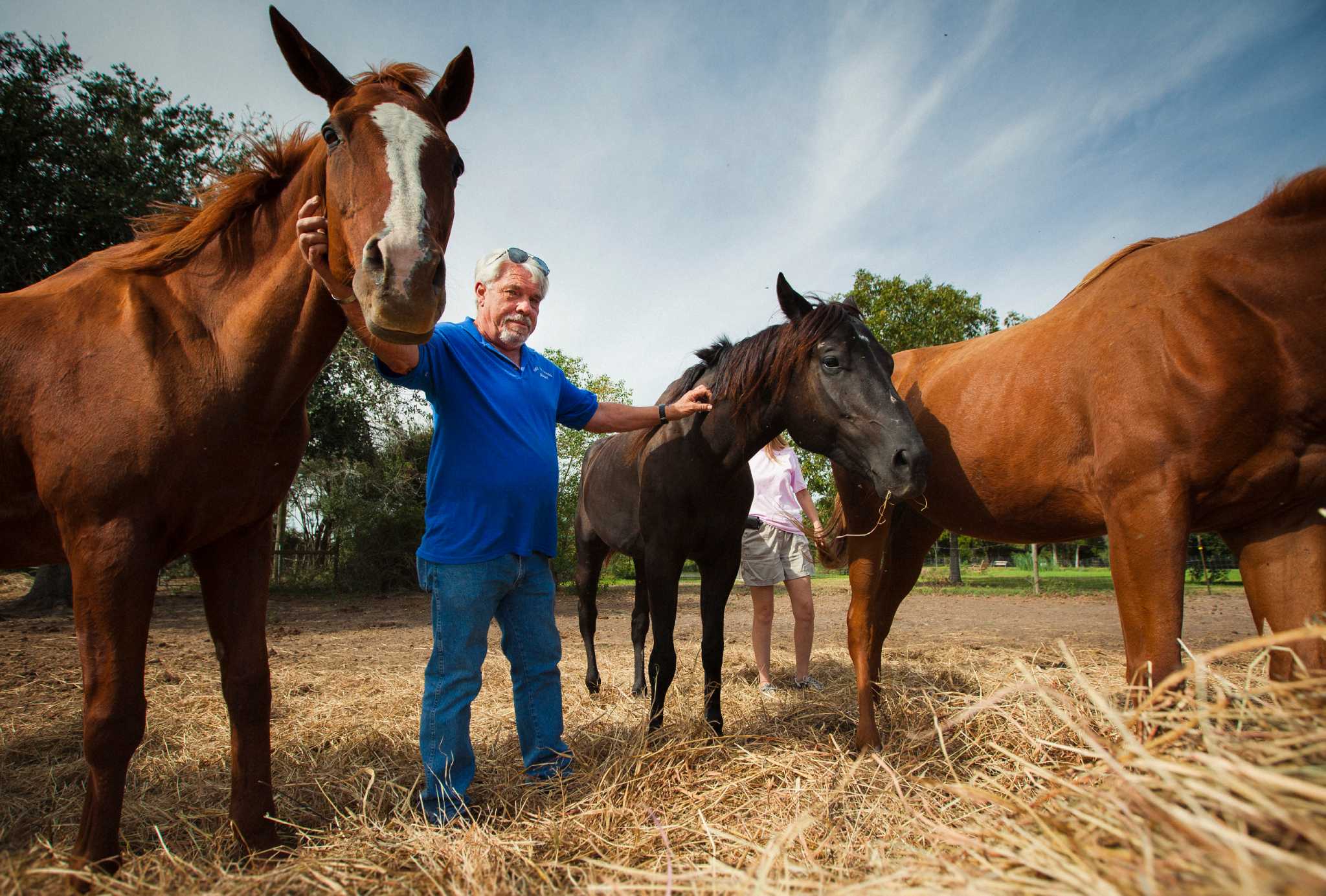 Horse sanctuary a bastion against abuse and neglect