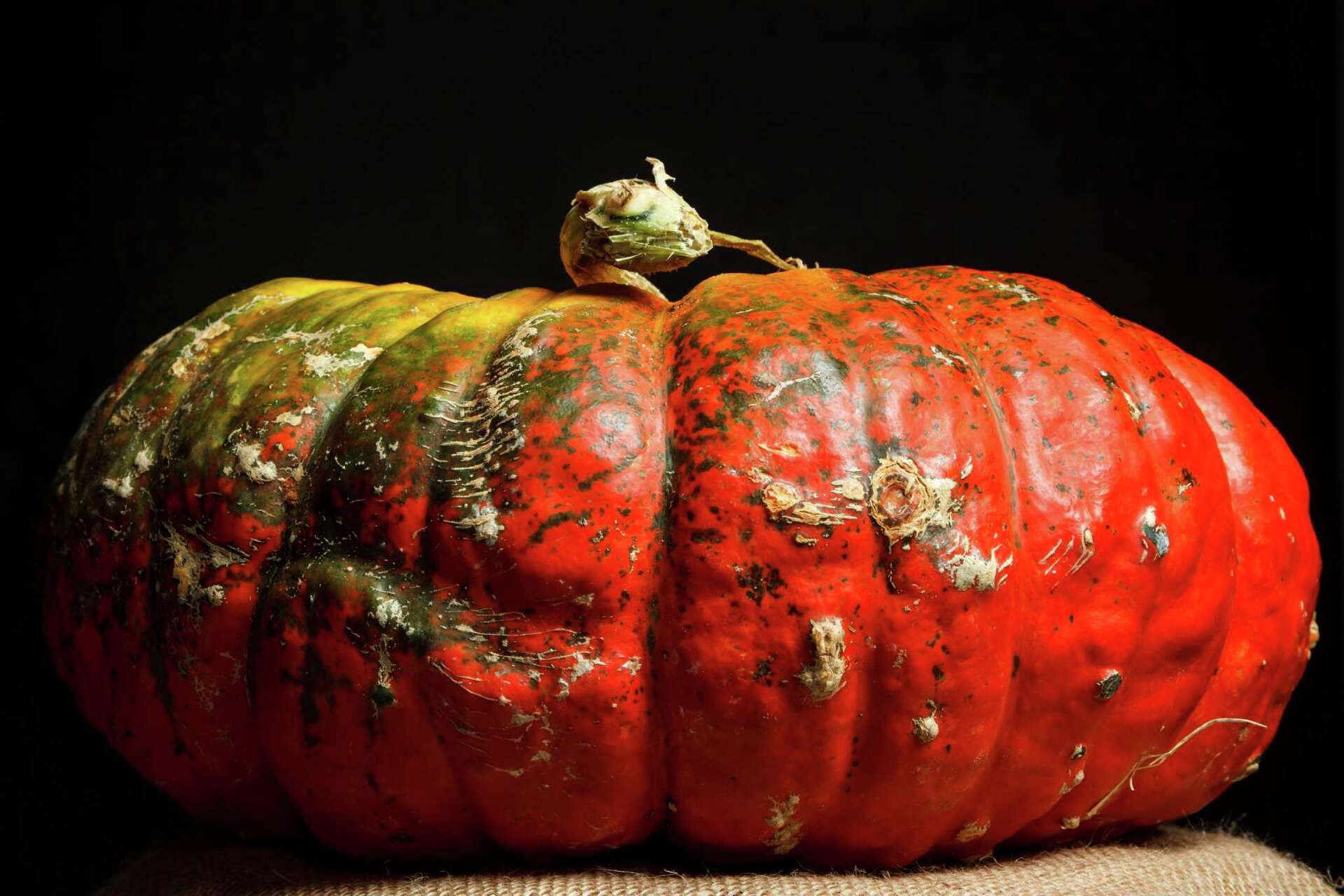 Squash, pumpkins and gourds decorate the harvest season