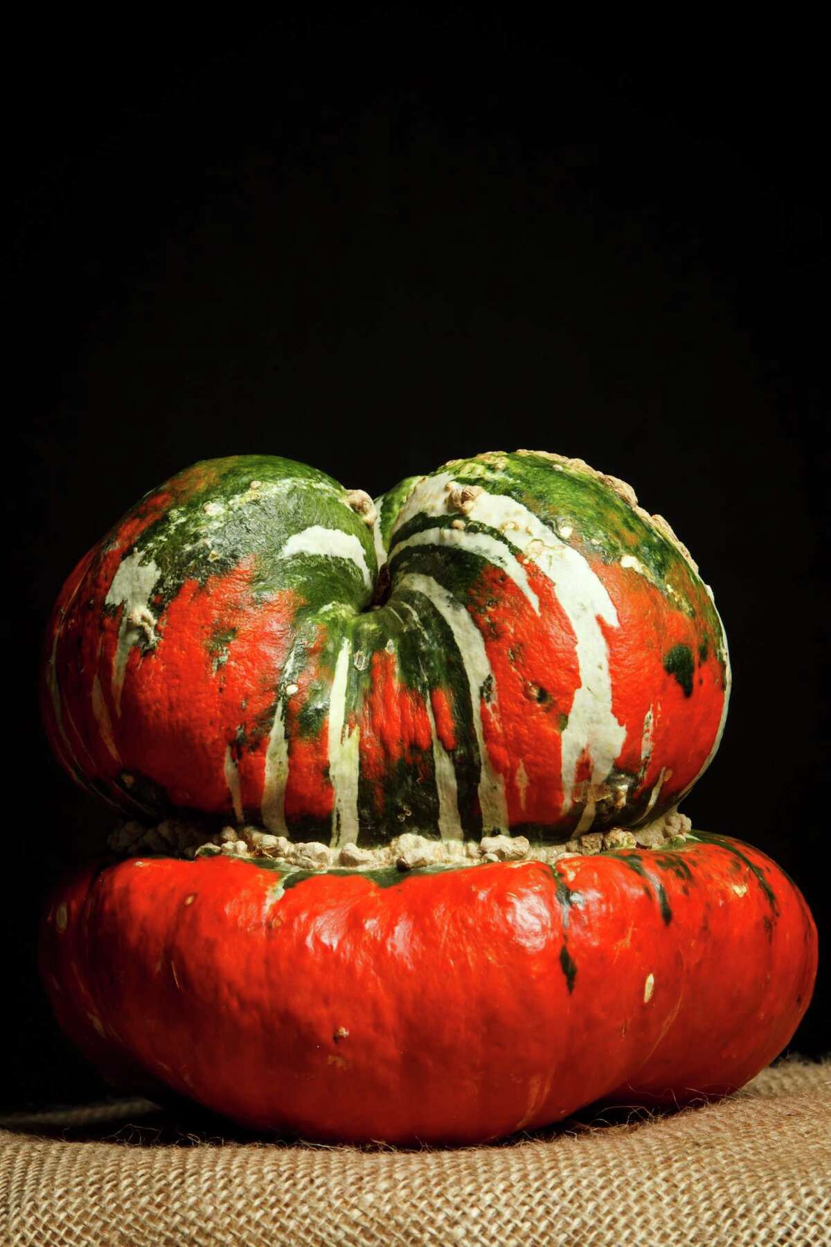 Squash, pumpkins and gourds decorate the harvest season