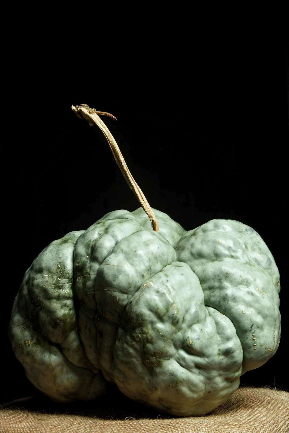 Squash, pumpkins and gourds decorate the harvest season