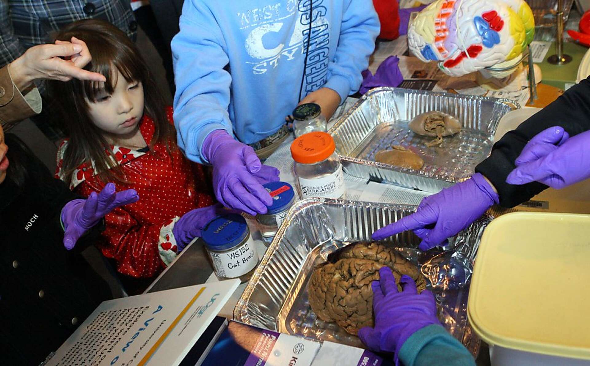 Circus, contests make science fest fun