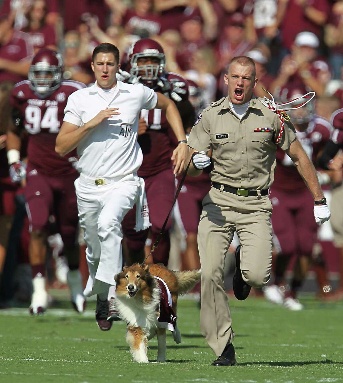 Aggie mascot Reveille VIII to retire at school year's end