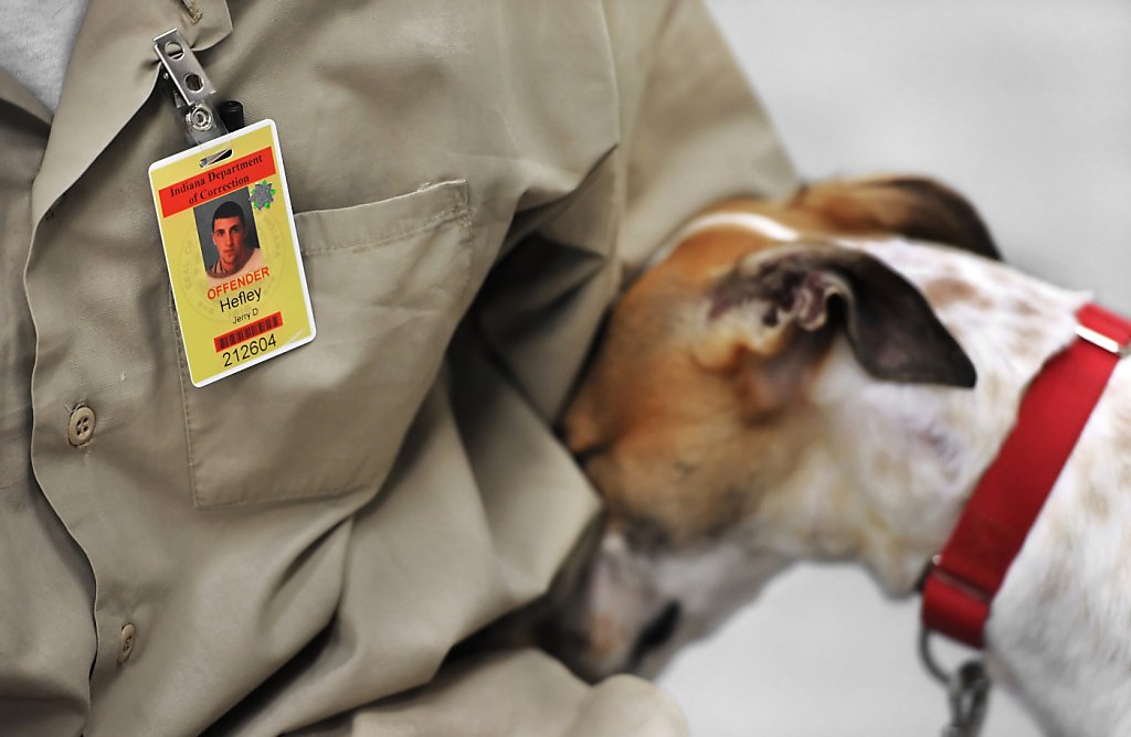 Day in Pictures, Oct. 23, 2012