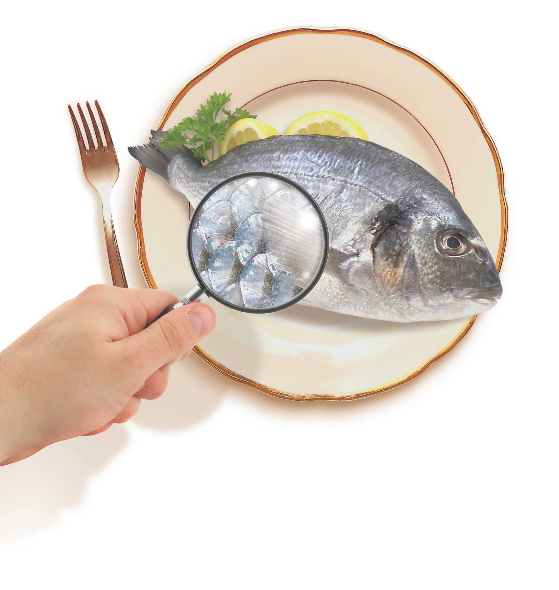 Price Chopper fish meets test