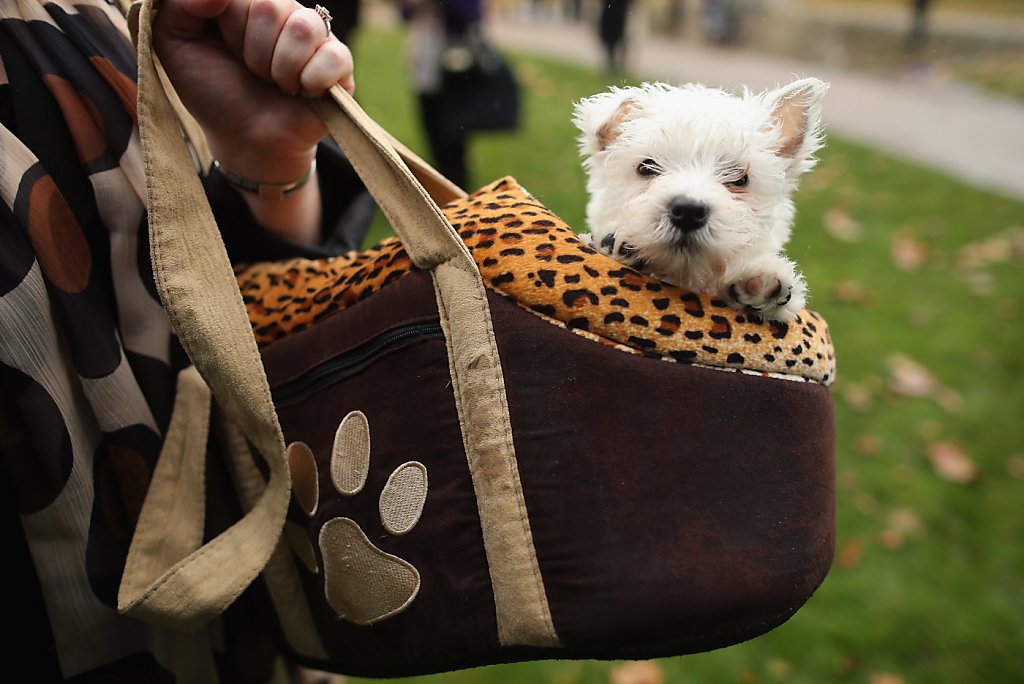 Day in Pictures, Oct. 25, 2012