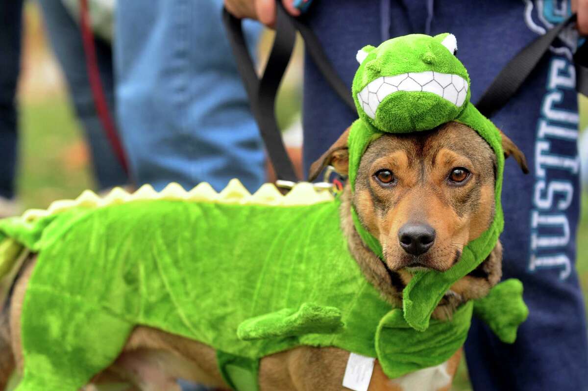 Photos: Howling good time