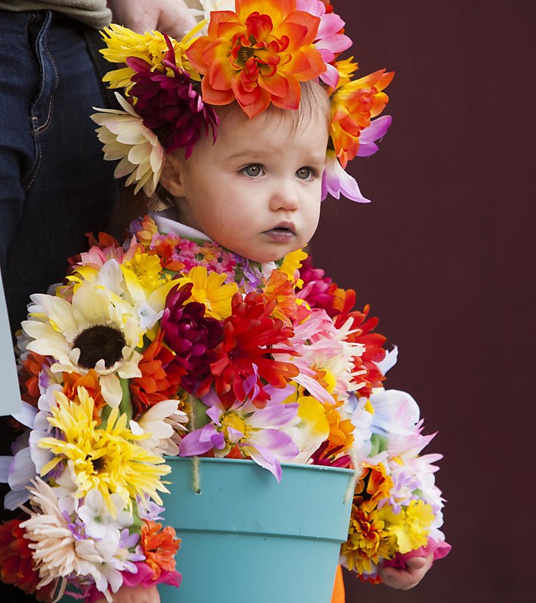 Day in Pictures, Oct. 30, 2012