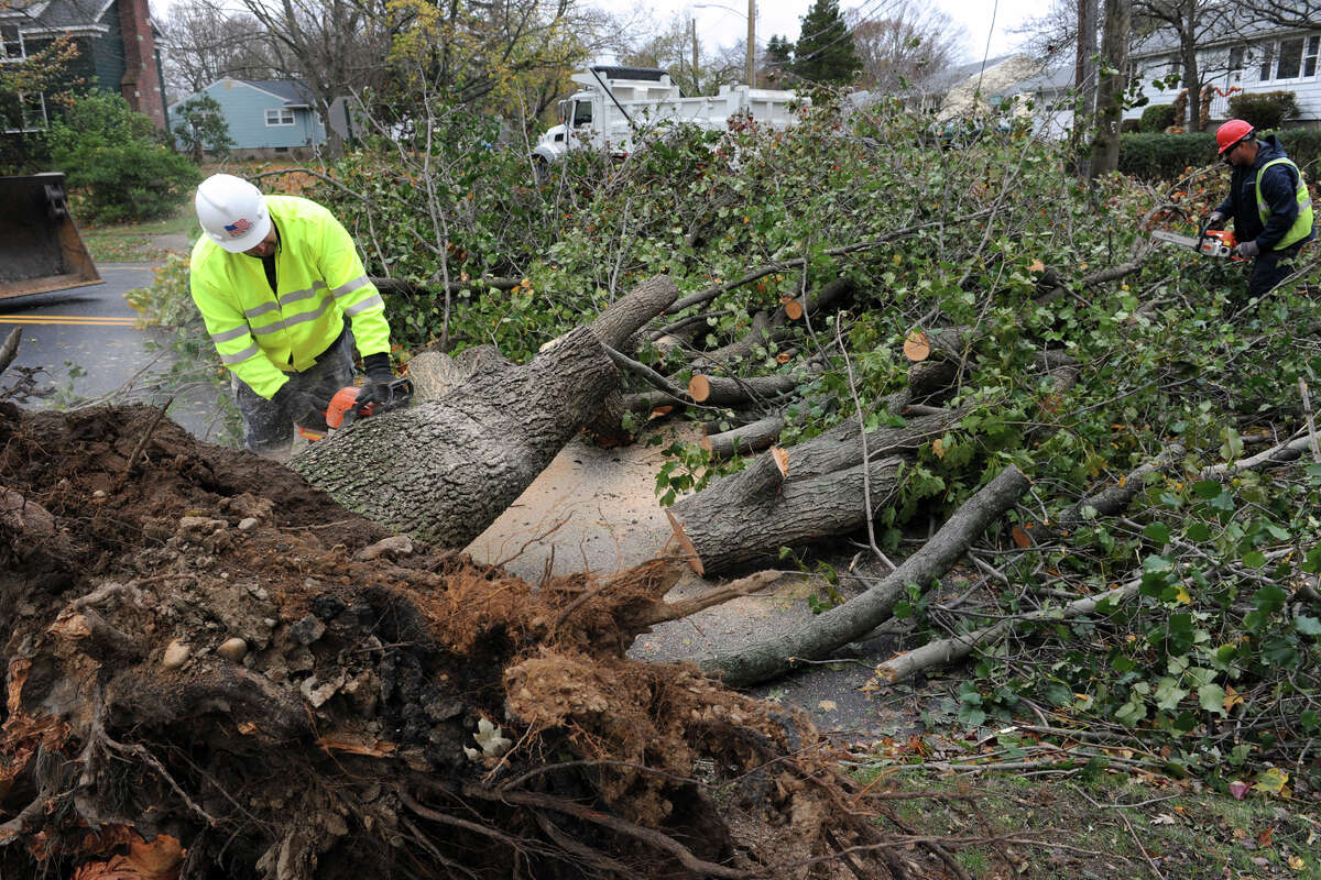 In Rowayton, a new neighborhood takes root in Superstorm Sandy’s wake