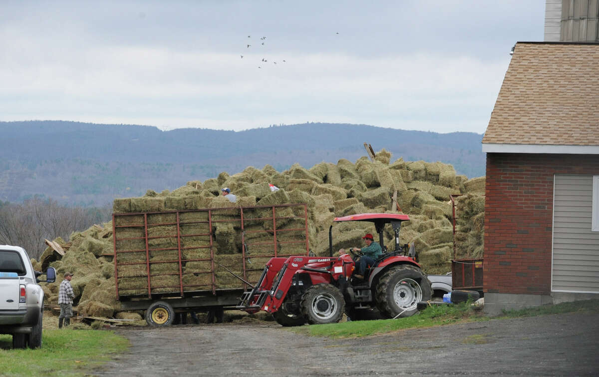 East Berne barn collapse kills cows