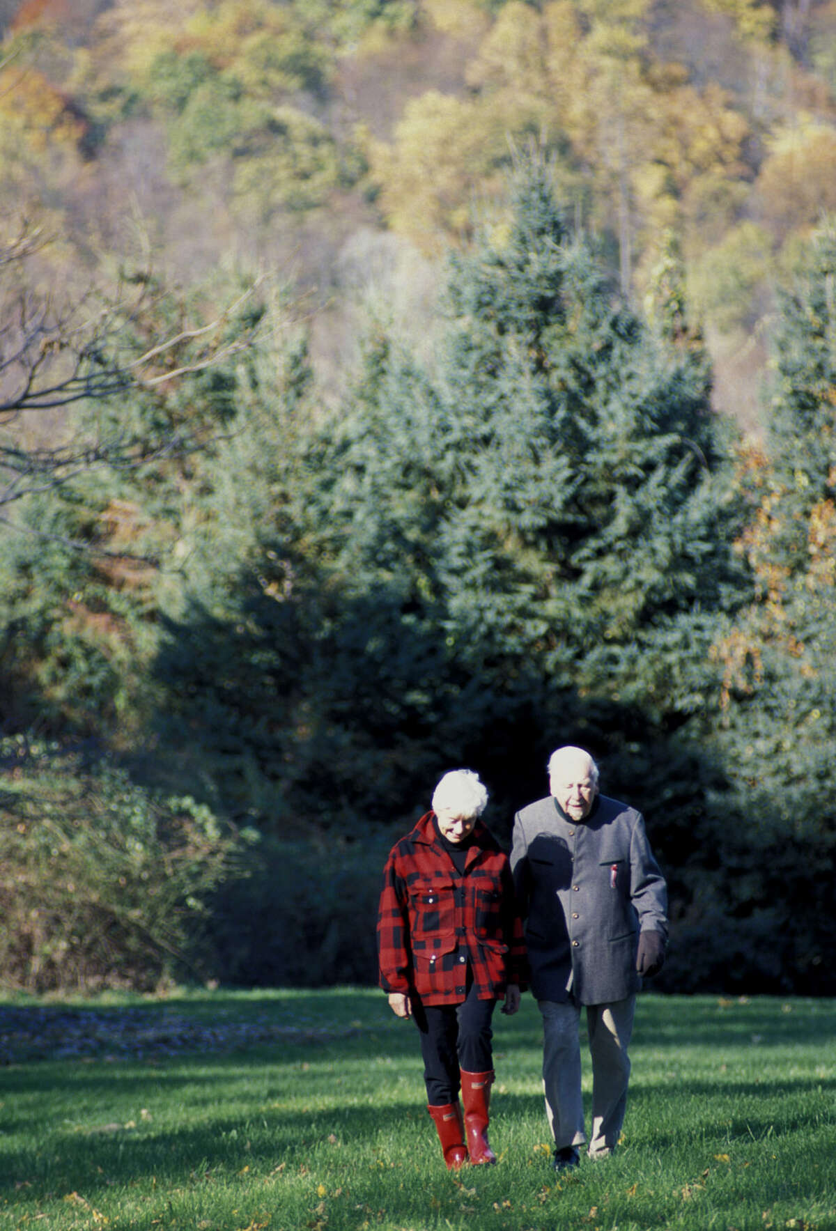 The Silo flourishes at 40 years young