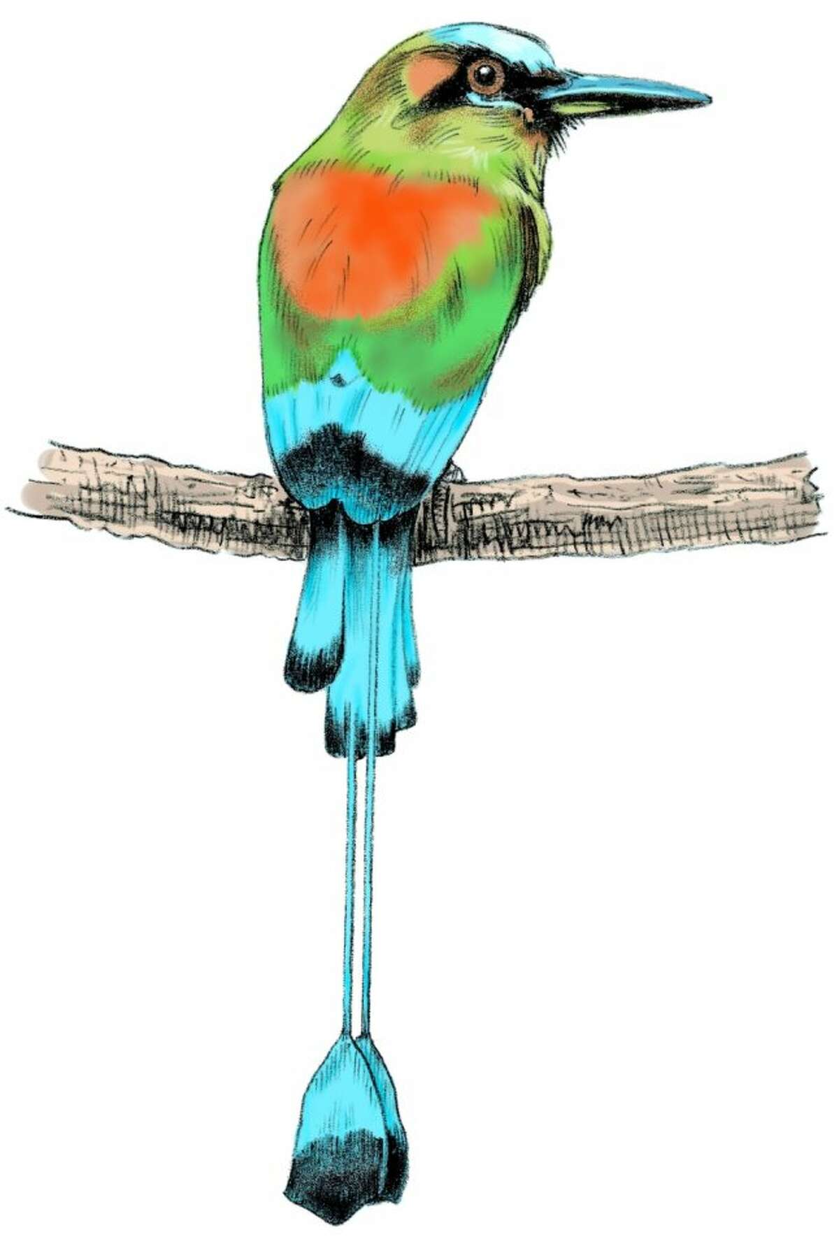 Land of the Maya the way it was then