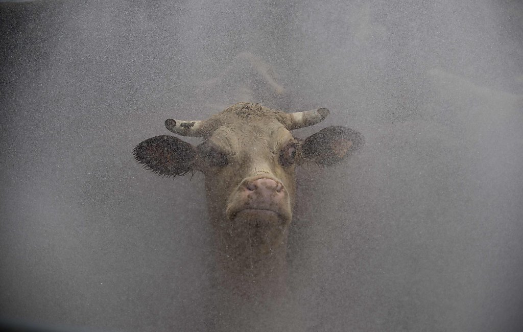 2012 Year in Pictures - November 2012