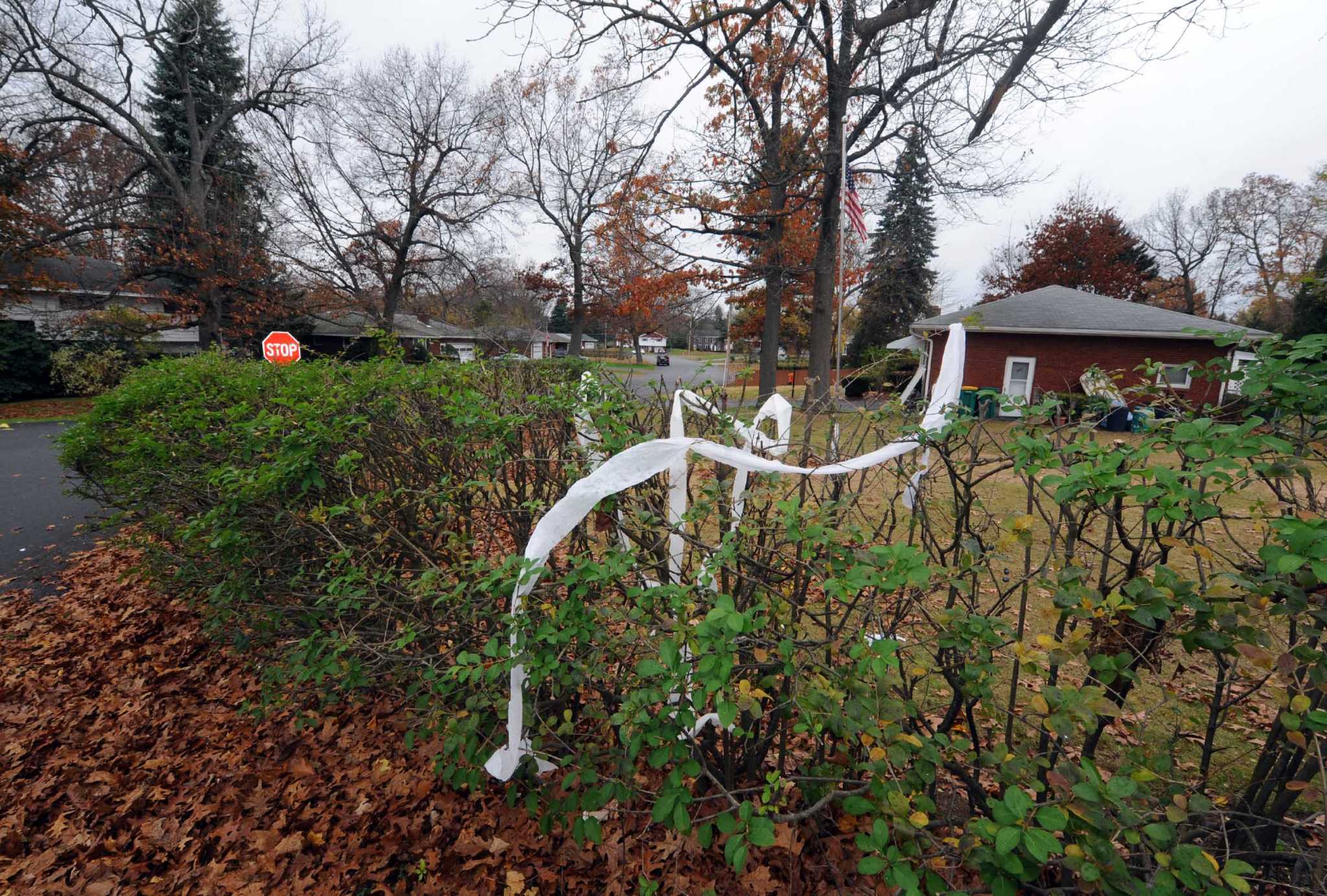 Neighborhood feels haunted