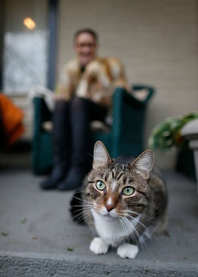 Day in Pictures, Nov. 1, 2012 - SFGate