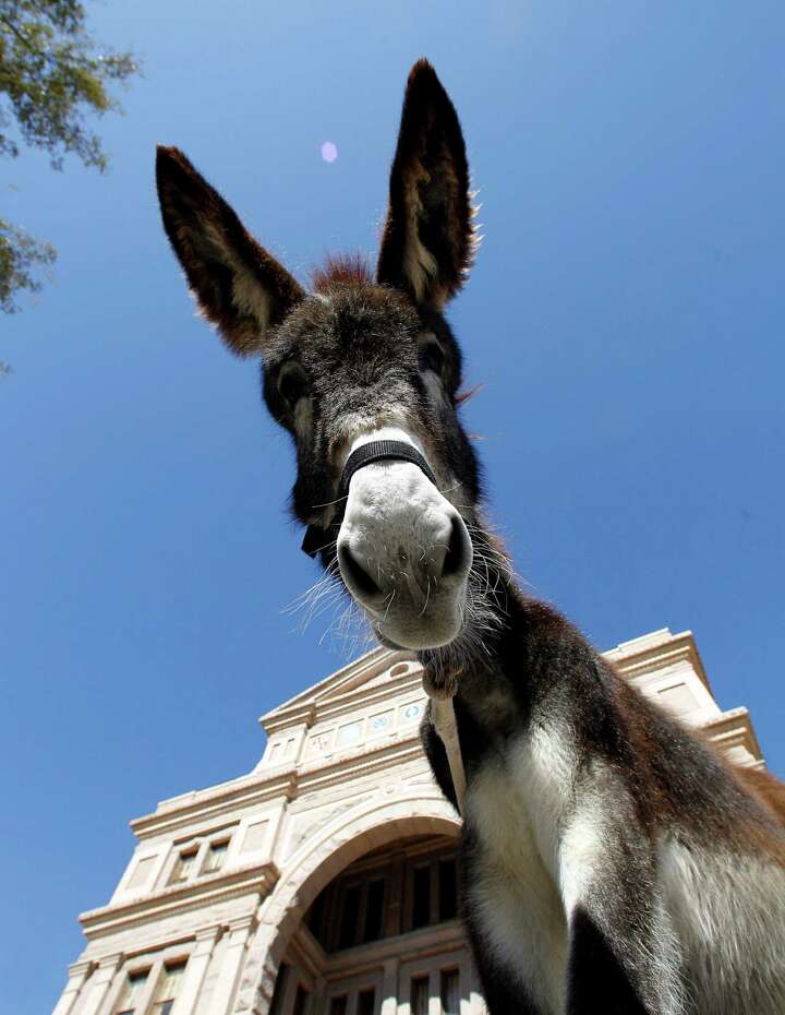 San Antonio's urban legends and haunted spots