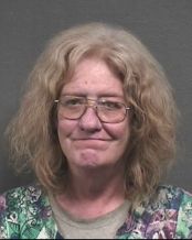 Woman charged with hitting trick-or-treaters had previous DWI