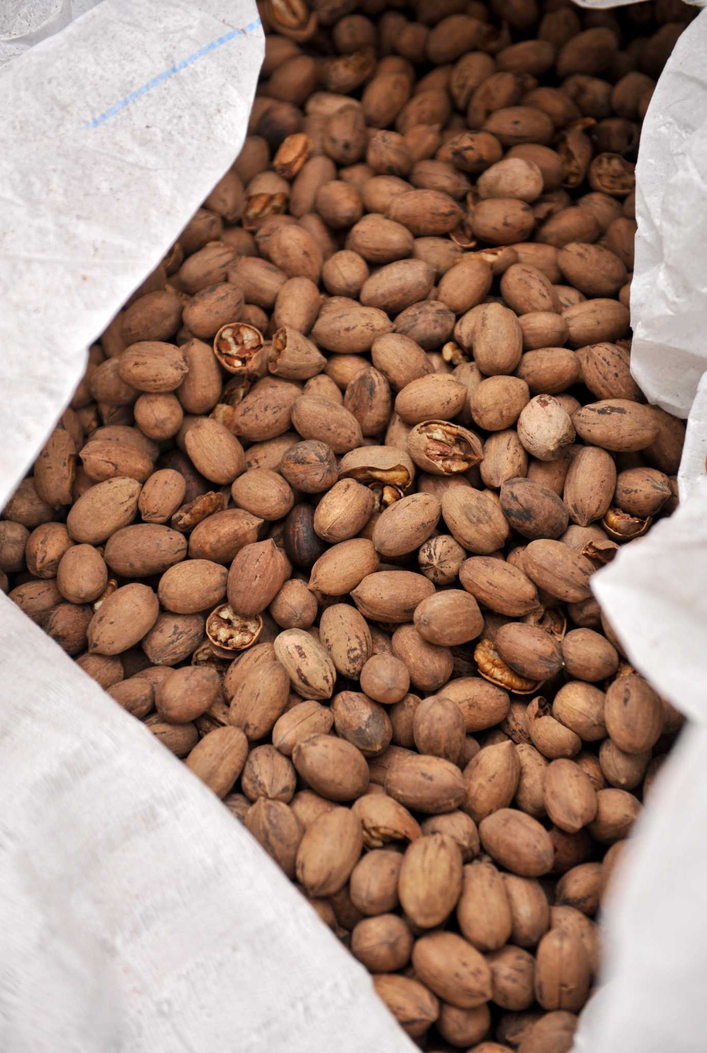 Pecan fans can go nuts this year