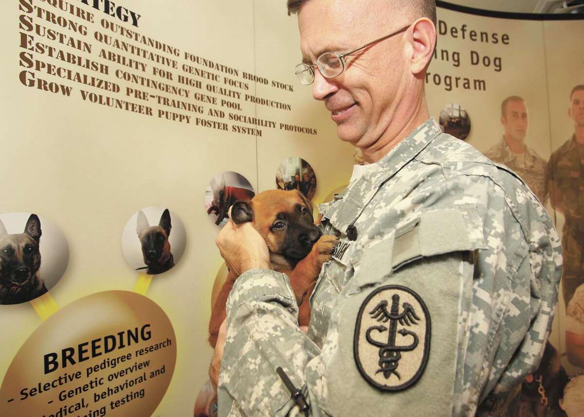 Monument for dogs used in military to be dedicated
