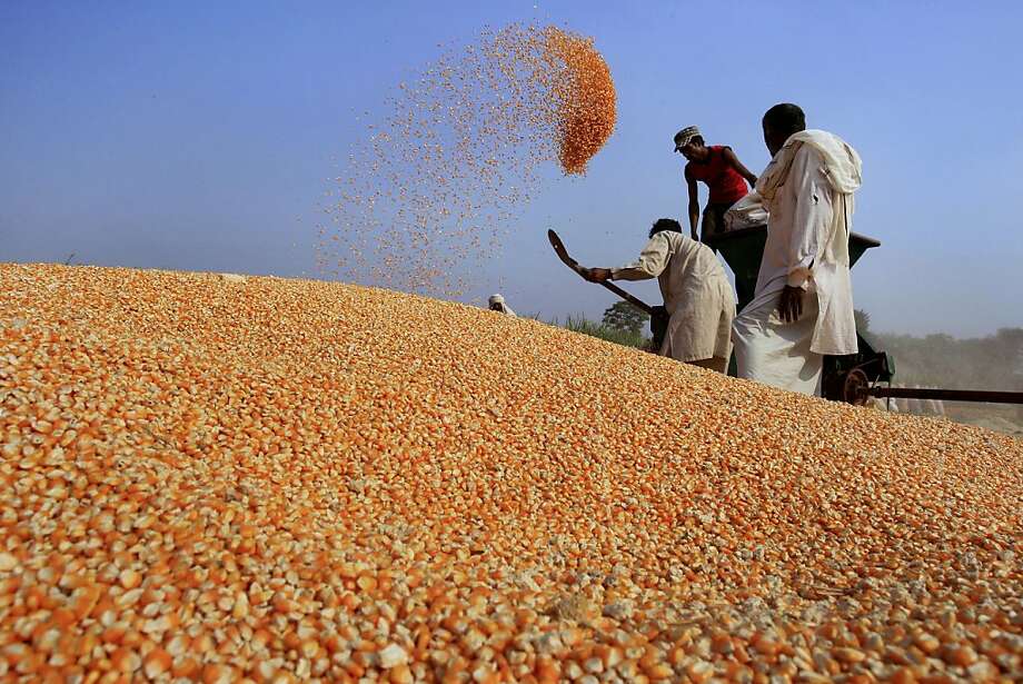 Day in Pictures, Nov. 7, 2012 - SFGate