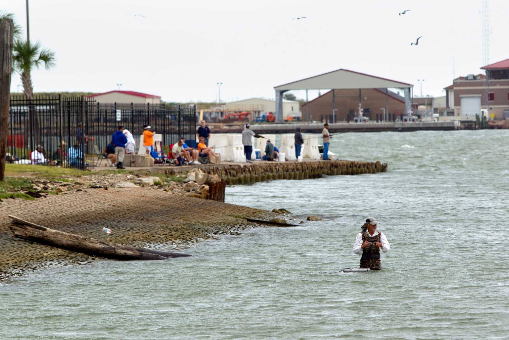 Flounder no longer floundering in Texas