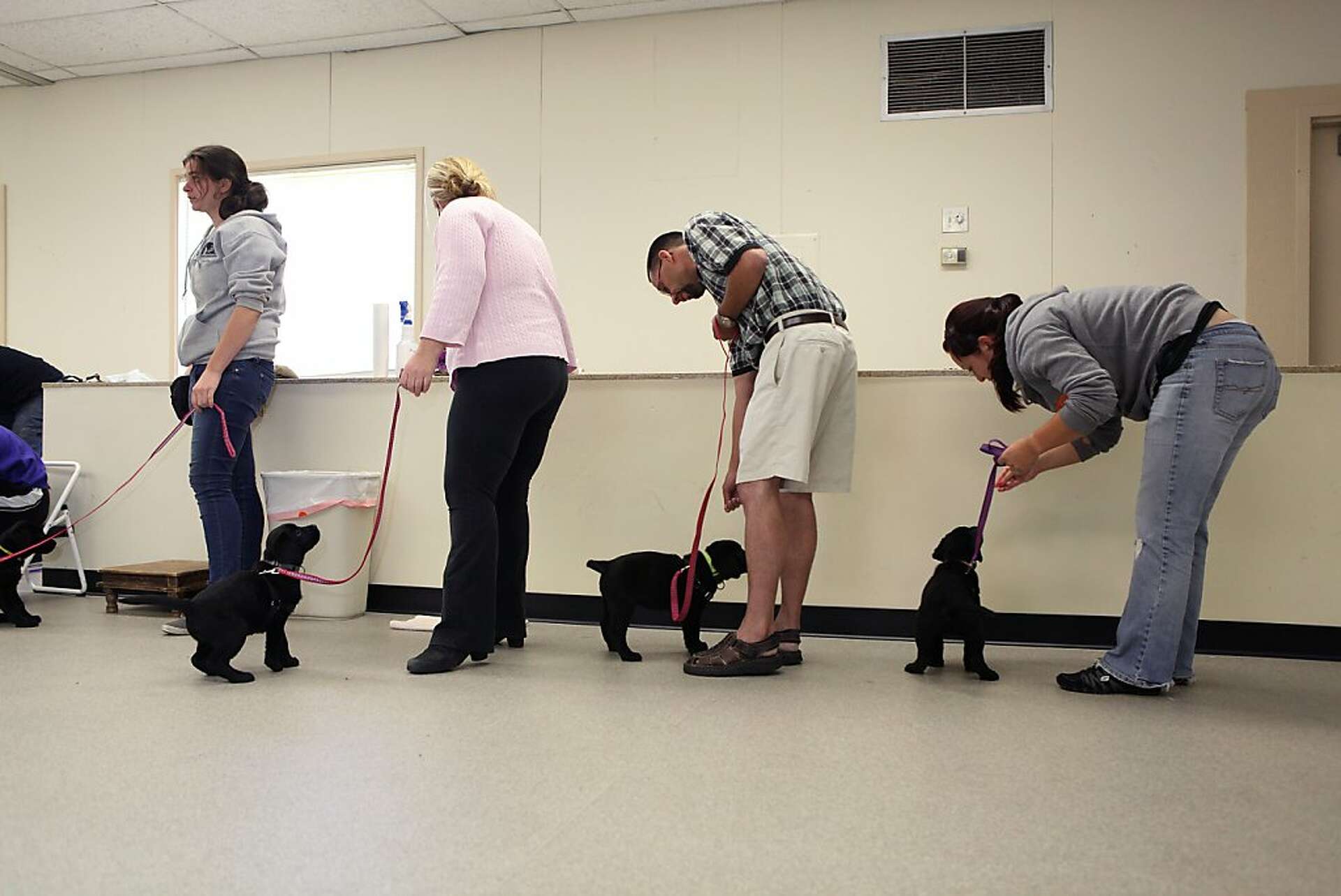 Fetch an education at canine college